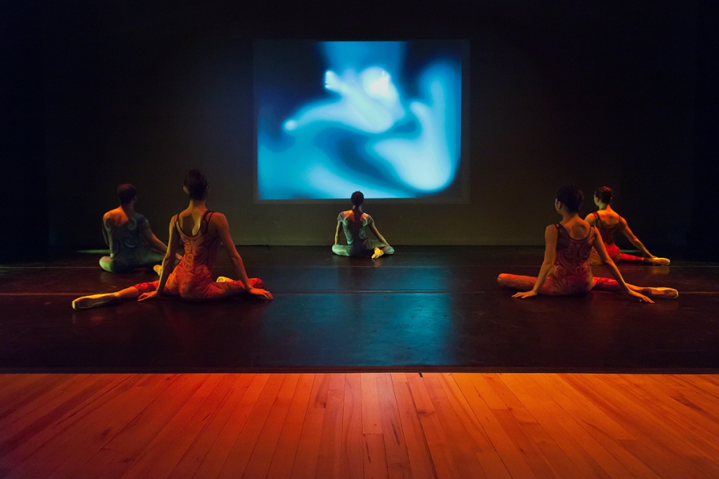 2013 Season | Brooklyn Ballet